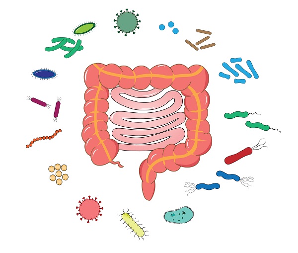 5 Signs of a Healthy Gut - Cambiati Wellness & Weight Loss | Contra ...